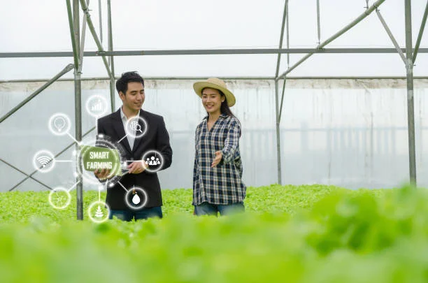 knowledge sharing platforms enhance the adoption of agricultural?