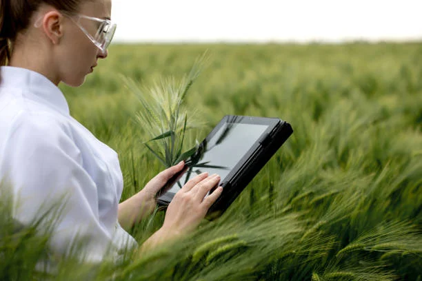 plant breeding: What is this? how has it advance in recent years?